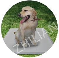 China Pet Training Pad Manufacturing Machine 300 m / min for sale