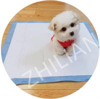 China Multipurpose Pet Training Pad Machine 170 m/min  300 m/min for sale