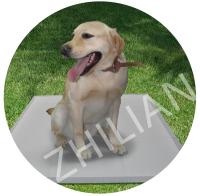 China Disposable Pet Pad Machine for sale