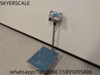 China 40x50cm 150kg Weighing Platform Scale Stainless Steel With Green LED Waterproof Indicator for sale