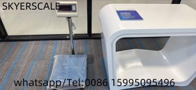 China 400x500mm 300kg Platform Bench Scale With XK3190-T7+E Weighing Indicator for sale