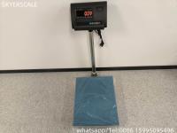 China Carbon Steel Industrial Class Platform Set Bench Scale 500kg With Stainless Steel Cover Plate Factory Direct Export for sale