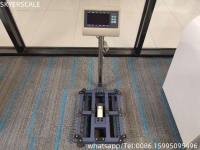 China Digital Electronic Floor Bench Heavy-Duty Livestock and Medical Platform Scale for Weighing for sale