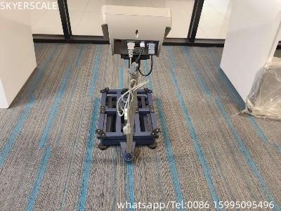 China Platform Electronic Weighing Balance Economy Bench Scale 300kg for sale