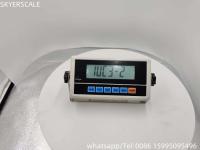 China Weighing Indicators IN520 Electronic Weight  Indicator For Platform Scale And Floor Scale for sale