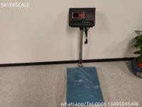 China 30x40cm 150kg Bench Scale High Accuracy Industrial Digital Platform Scale for sale