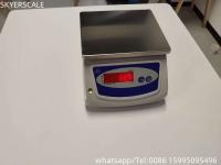 China IP68 Waterproof 15kg/2g  Digital Weighing Scale  Seafood Electronic Fishing Food Waterproof Scales for sale