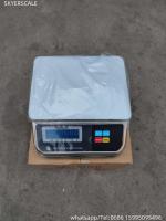 China 15kg Weight Measuring Waterproof Stainless Steel Sea Food Scale for sale
