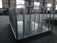 China Carbon Steel 1t 2t 3t Livestock scale, cattle Weighing Scales For  horse Pig Cow Sheep with hot galvanized fence for sale