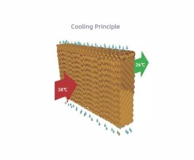 China Evaporative Cooling Pad High Efficiency Anti Mold Long Lifespan for sale