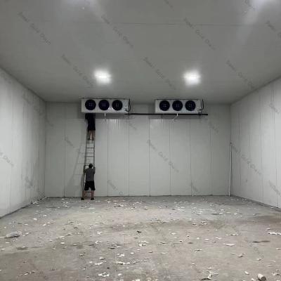 China Walk In Chiller Cold Room walk in cooler for retain refresh fruit meat freezing fish for sale