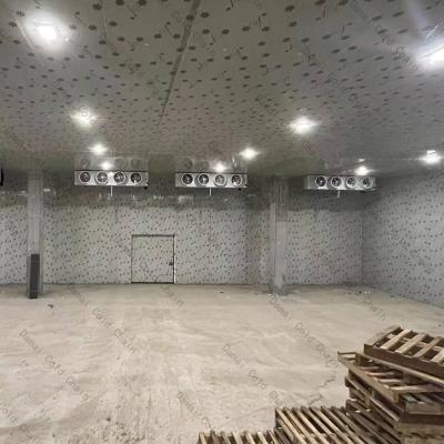 China Customization Cold Room Walk In Freezer For Cooling System Refrigeration cooler for sale
