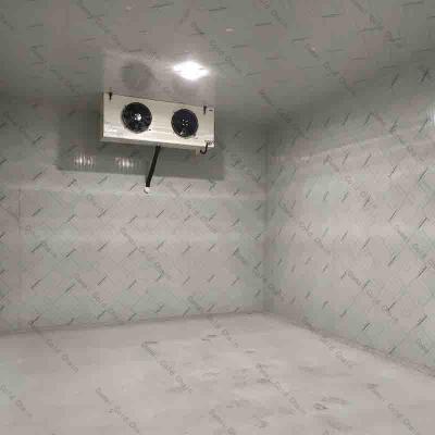 China High Density PU Foam Freezer Cold Room Energy Saving With Compressor Unit for sale