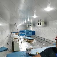 China Walk In Cold Room Freezer for sale