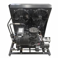 China Microprocessor Controlled Condensing Unit with Highly Efficient Rotor Inverter Compressor for Supermarket for sale