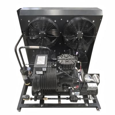 China Microprocessor Controlled Condensing Unit with Highly Efficient Rotor Inverter Compressor for Supermarket for sale