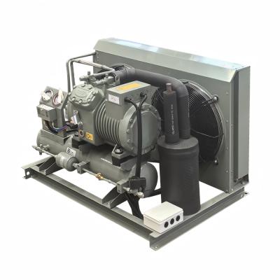 China Optimized Performance Air Cooled Condensing Units with HIGHLY Rotor Inverter Compressor for sale