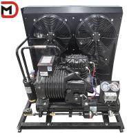 China 60Hz Frequency Freezer Room Condensing Unit for Customer Requirements for sale