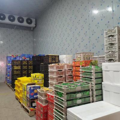 China Microcomputer Cold Storage Room For Fruits And Vegetables With -20°C To 10°C Temperature Range for sale