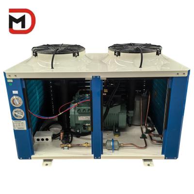 China Customizable and High-Performance Condensing Unit for Commercial Refrigeration for sale