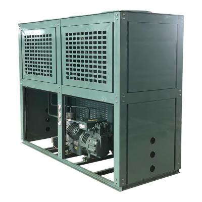 China Refrigerating System Air Cooled Condensing Unit with and ECM Evaporator Fan Motor for sale
