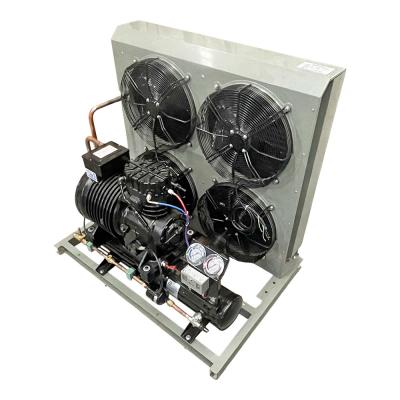 China Air Cooled Condensing Units with Condenser Fan Motor walk in freezer cold storage room for sale
