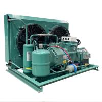 China Air Cooler condensing Type Condensing Unit for walk in cooler freezer room cold storage for sale