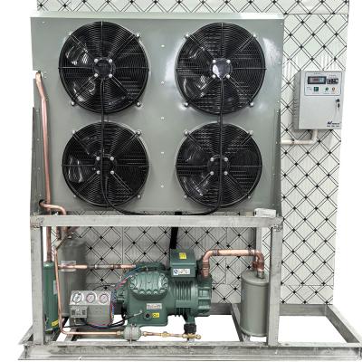 China 125*150*150cm Air Cooled Condensing Units Perfect for Walk in cooler cooling chamber cold storage for sale