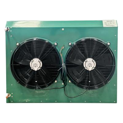 China Customizable Axial Fan Freezer Room Condensing Unit for Cold Storage walk in freezer for sale