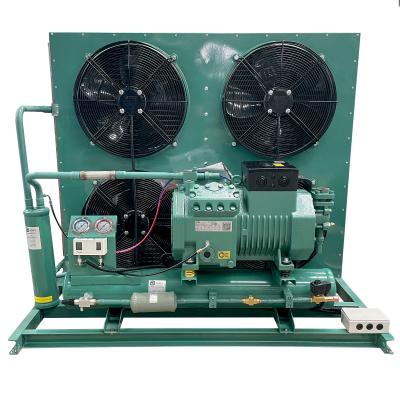 China Compressor Condensing Unit for cold room walk in cooler freezer  retain fruit chamber for sale