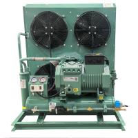 China Industrial cooling system Refrigeration Condensing Unit for walk in cooler cold storage room for sale