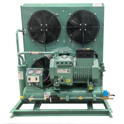 China Industrial cooling system Refrigeration Condensing Unit for walk in cooler cold storage room for sale