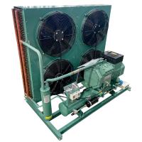 China Air cooled Condensing Unit for Cold Storage walk in cooler chamber retain fruit meat for sale