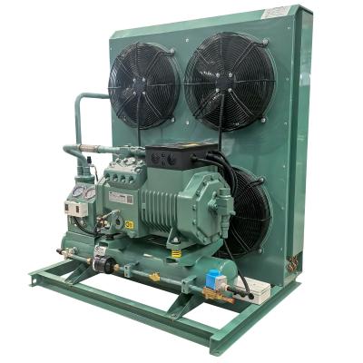 China Air cooled Refrigeration Condensing Unit with air cooler for cold room walk in freezer for sale