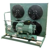 China Air Cooled Condensing Units Piston Compressor for walk in cooler cooling system cold room for sale
