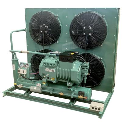 China Air Cooled Condensing Units Piston Compressor for walk in cooler cooling system cold room for sale