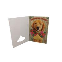China Birthday Recordable Greeting Cards With Visual LED Lights 4C Printing Autoplay for sale