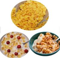China Auto Temperature Controlling Corn Flakes Production Machine for sale