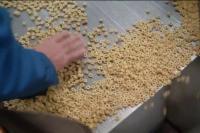 China 150kg/hr 300kg/hr Automation Corn Flakes Production Line for sale