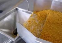 China High Output Stainless Steel Corn Flakes Cereal Production Line for sale