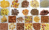 China High Strength Wheat Flakes / Millet Flakes Making Machine for sale