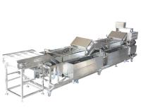 China Adjustable Speed 490mm Vegetable And Fruit Washing Machine for sale