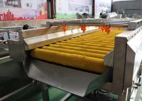 China High Efficiency Stainless Steel Vegetable Washing Machine for sale