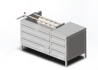 China Root Vegetable Fruit Washing Machine For Potato / Carrot for sale