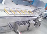 China Fruit And Vegetable Washing Machine With Water Circulating System for sale