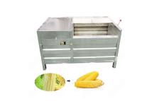 China Root Vegetable Fruit Washing Machine For Potato / Carrot for sale