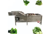 China High Pressure Vegetable Bubble Washing Machine For Cleaning for sale