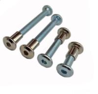 China Flat Head STAINLESS STEEL Aluminium Chicago Screw /Sex Bolt With Internal Thread for sale