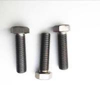 China ISO9001 High Precision Titanium Hex Bolts Threaded Left Hand Thread Bolts for sale