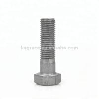 China 8.8 Grade Hot Dip Galvanized Hexagon Head Bolts for sale